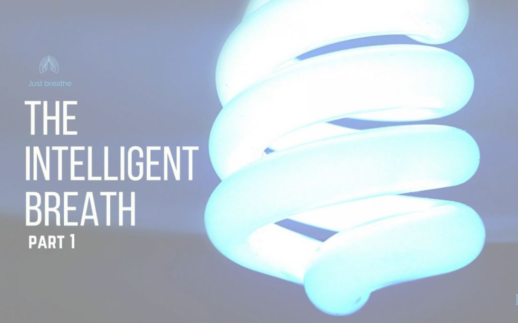 The Intelligent Breath: Part 1 | Lower Plenty Primary School